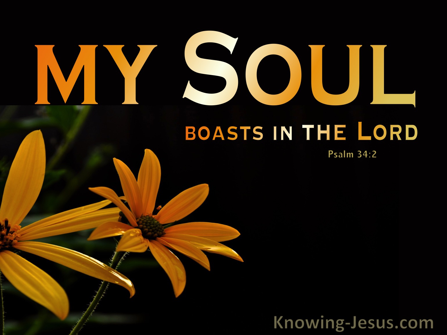 Monday Manna – How Do Our Souls Boast in the Lord? | Hear God's Heart