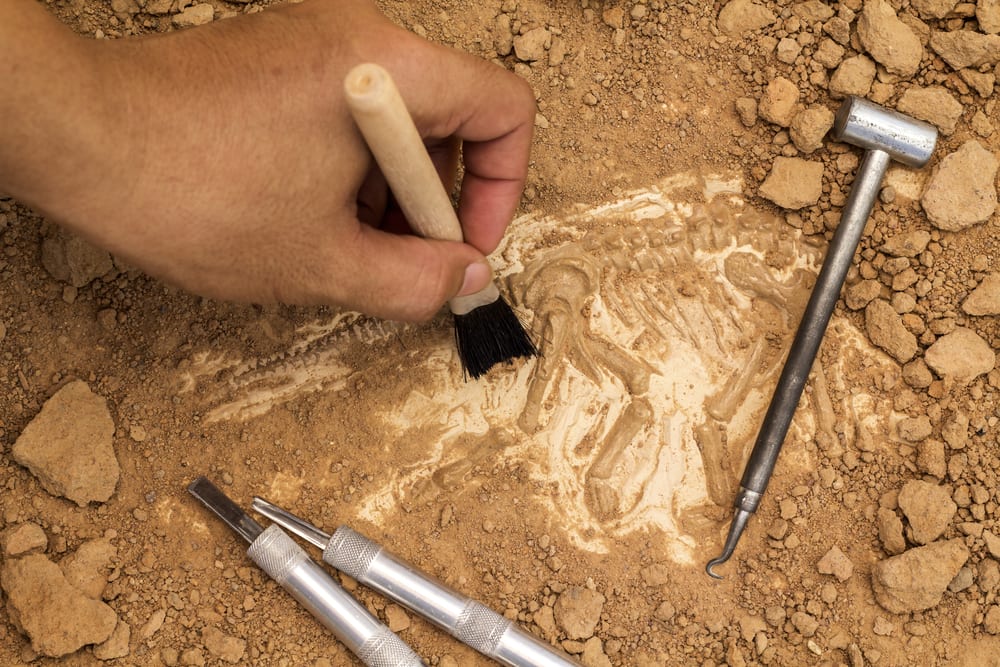 Tools and Instruction About How I Unearth the Deeper Treasures in ...