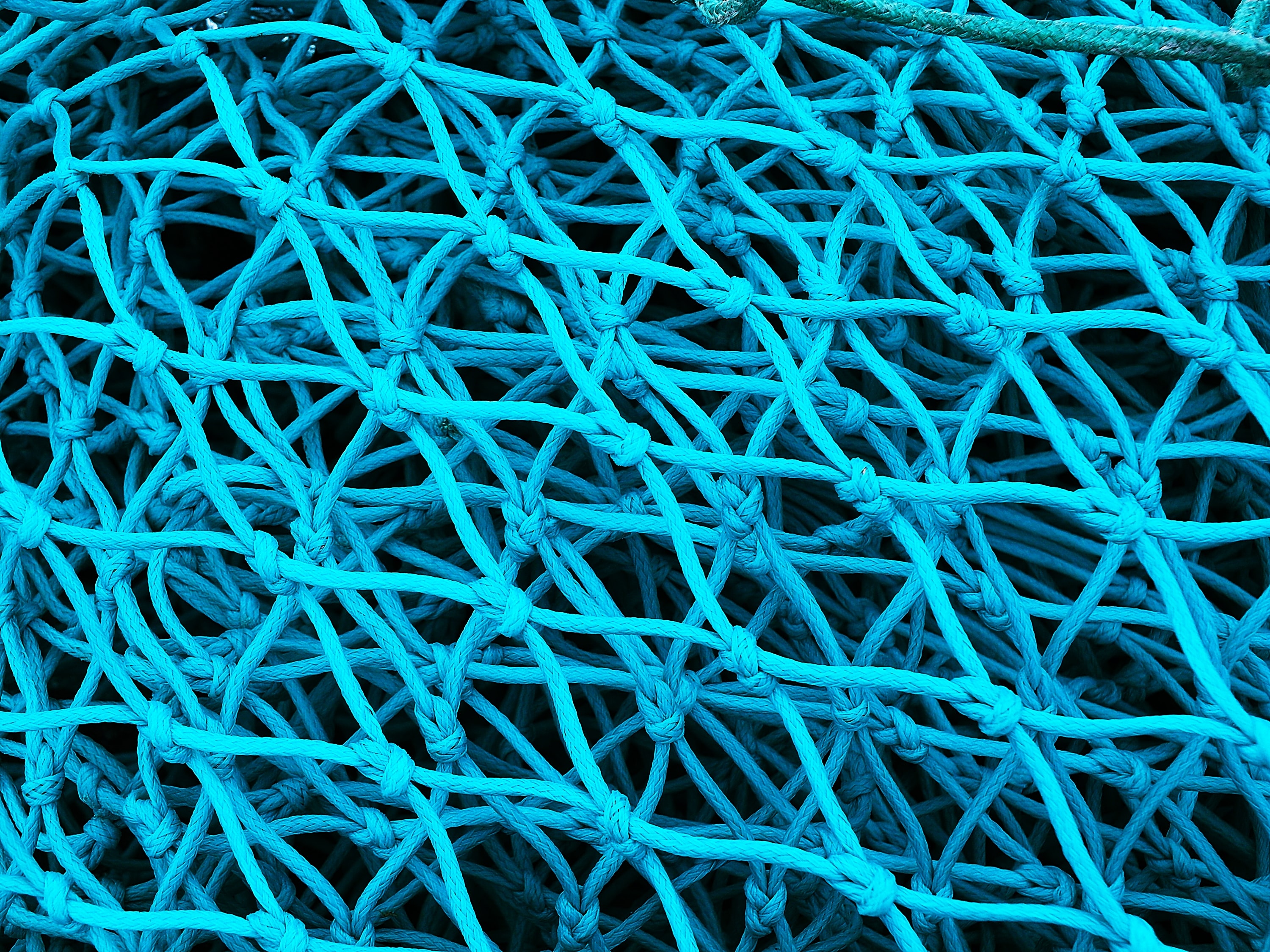 What is the Snare of the Fowler? Psalm 91:3b | Hear God's Heart